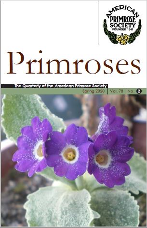 Home - The American Primrose Society