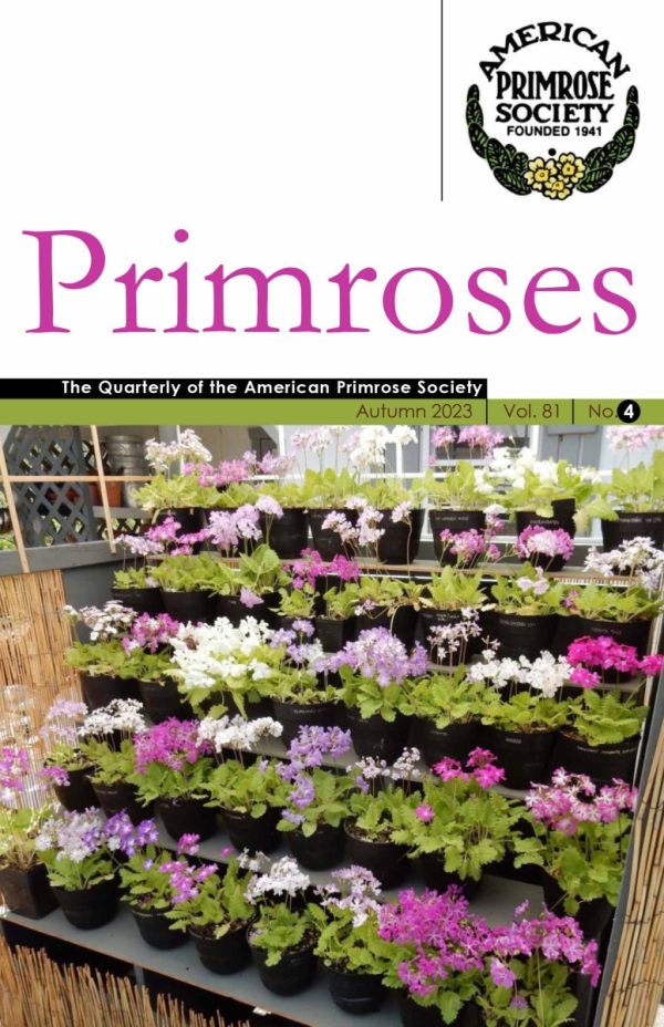 The American Primrose Society - for the love of Primula