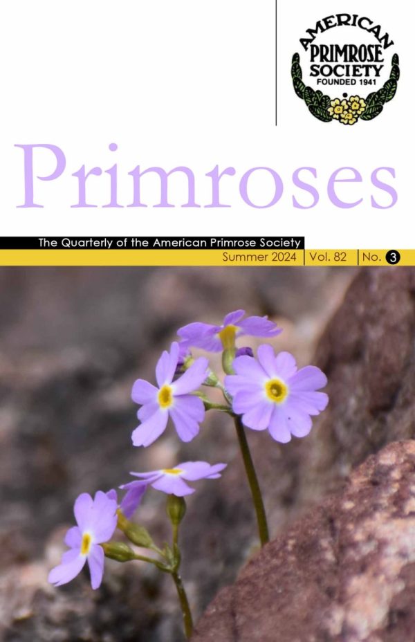 The American Primrose Society - for the love of Primula